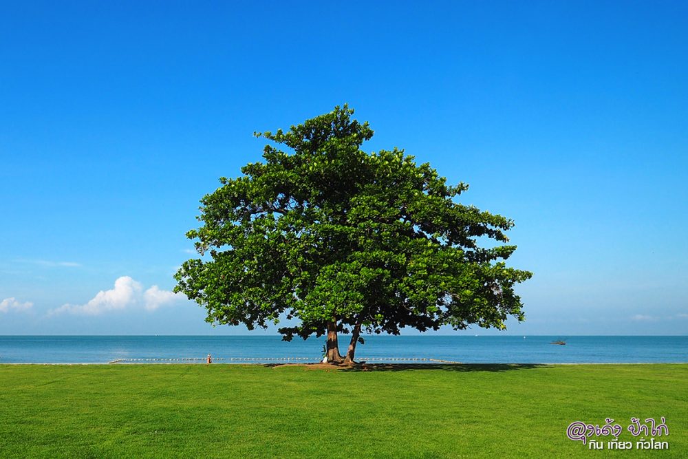 Ana Anan Resort Pattaya อาณา อานันท์ รีสอร์ท พัทยา รีวิว by ลุงเด้ง ป้าไก่