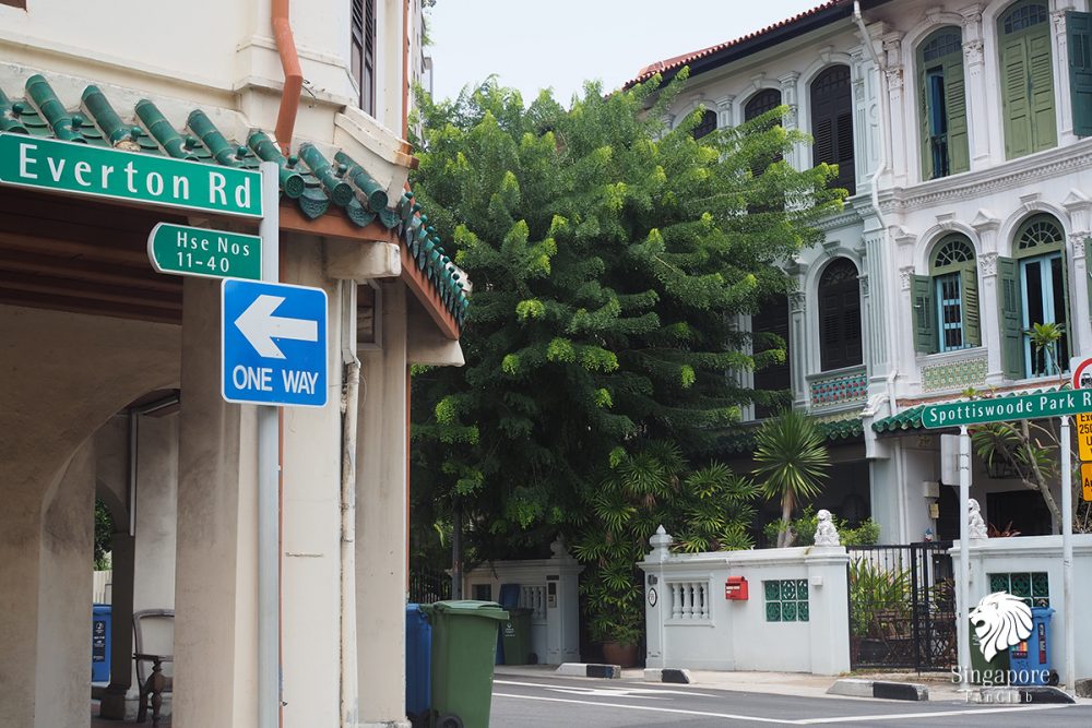 Everton Street art จุดถ่ายภาพสิงคโปร์ - ลุงเด้ง ป้าไก่