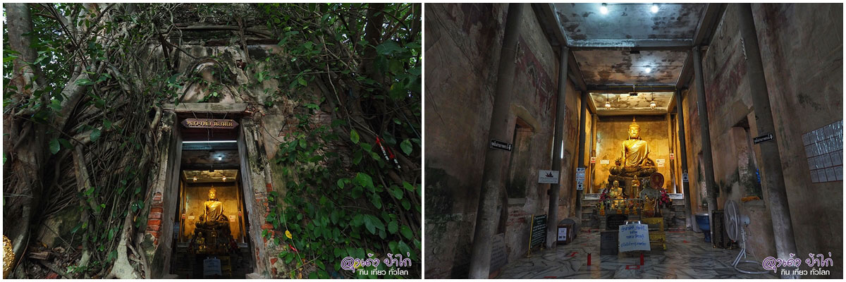 ณ ทรี ธารา : อัมพวา NA TREE TARA - ลุงเด้ง ป้าไก่ กิน เที่ยวทั่วโลก