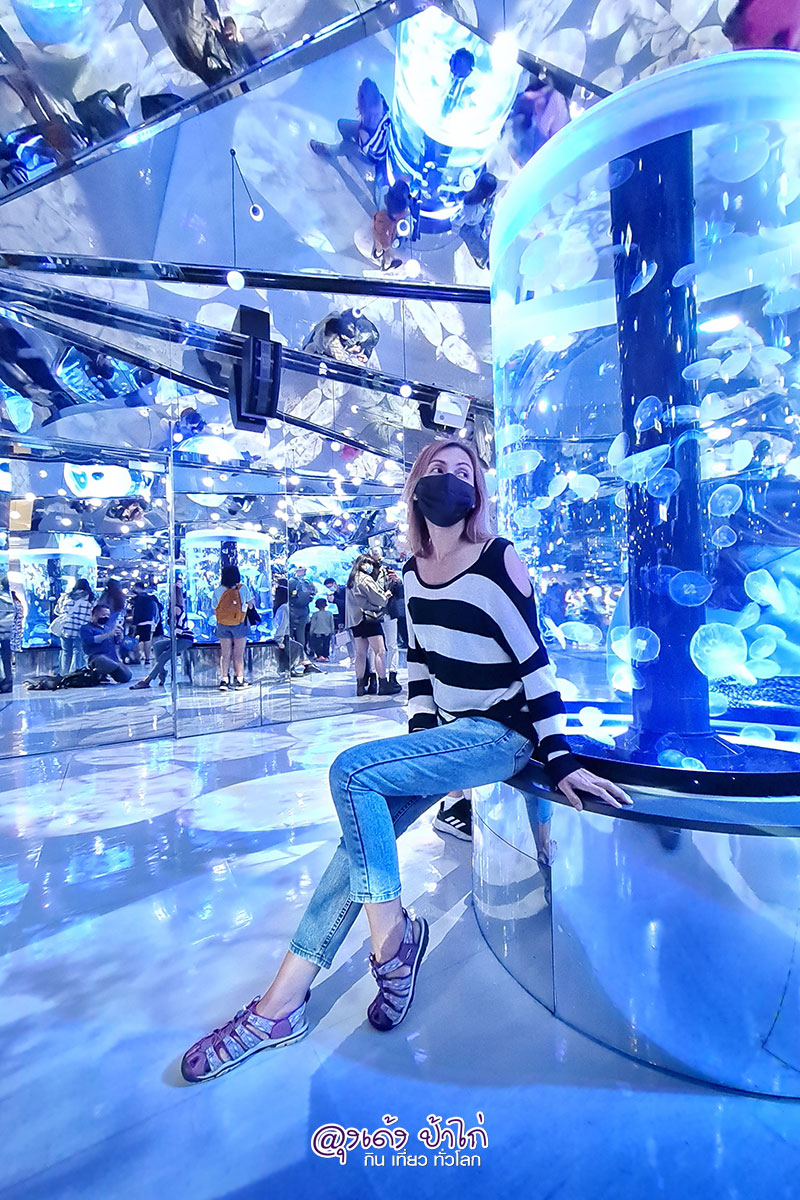 XPark Aquarium Taiwan - รีวิว by ลุงเด้ง ป้าไก่